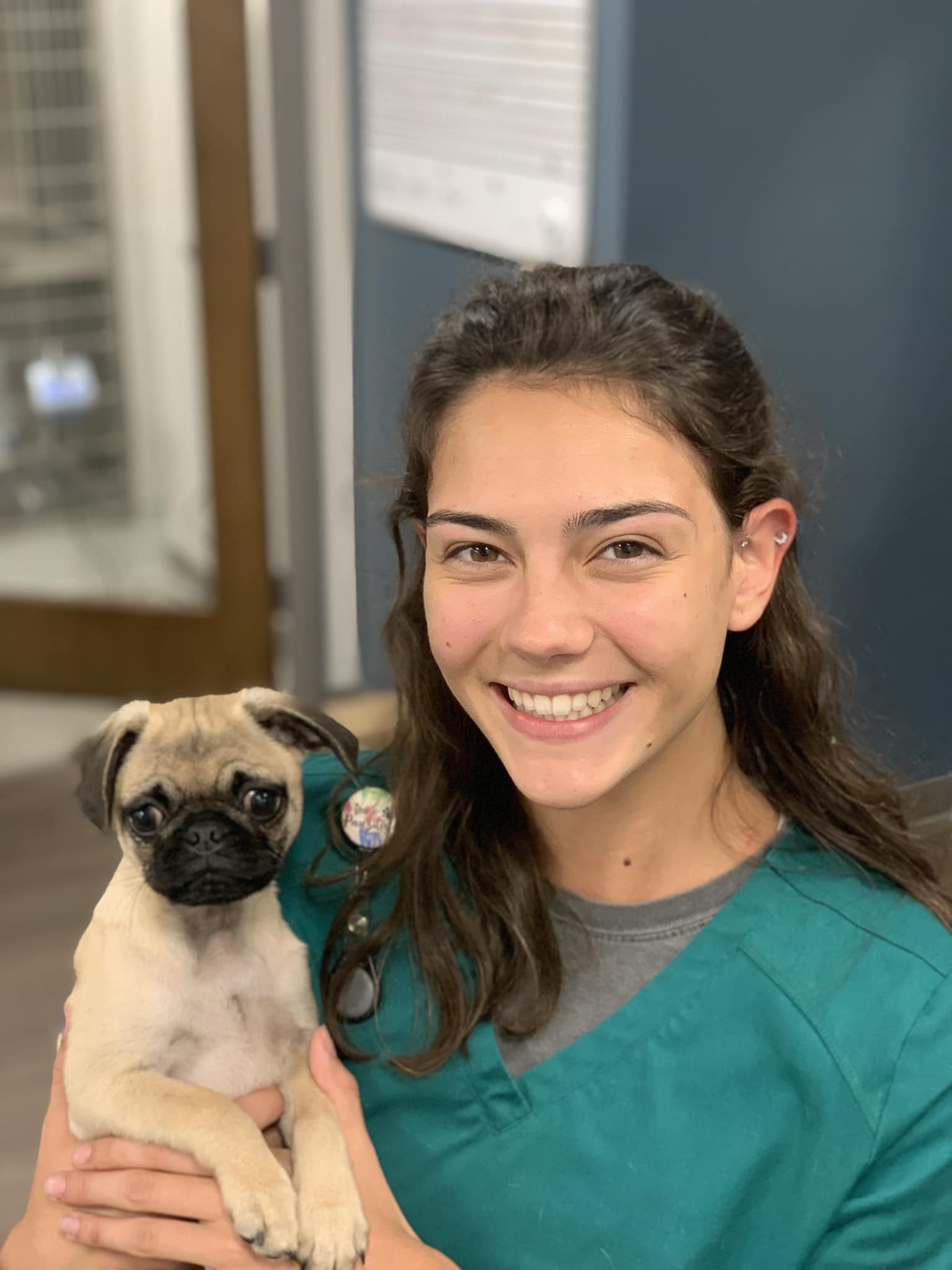 Pet Wellness Services in Carmel, IN - Yellow Dog Veterinary Clinic